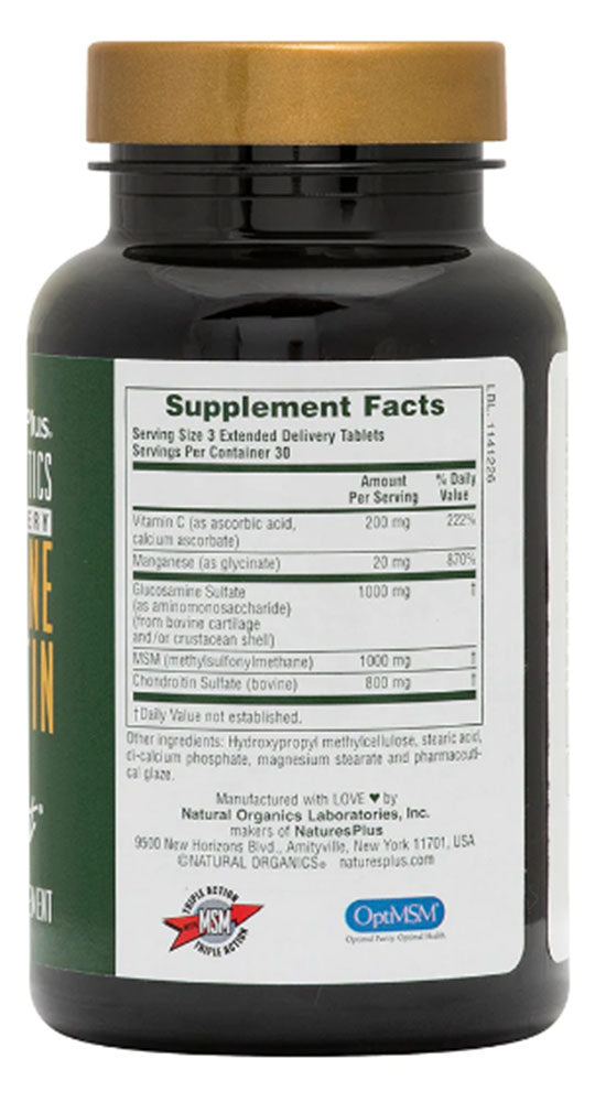 RX JOINT GLUC/CHON/MSM TAB 90 – Earth Wise Vitamins